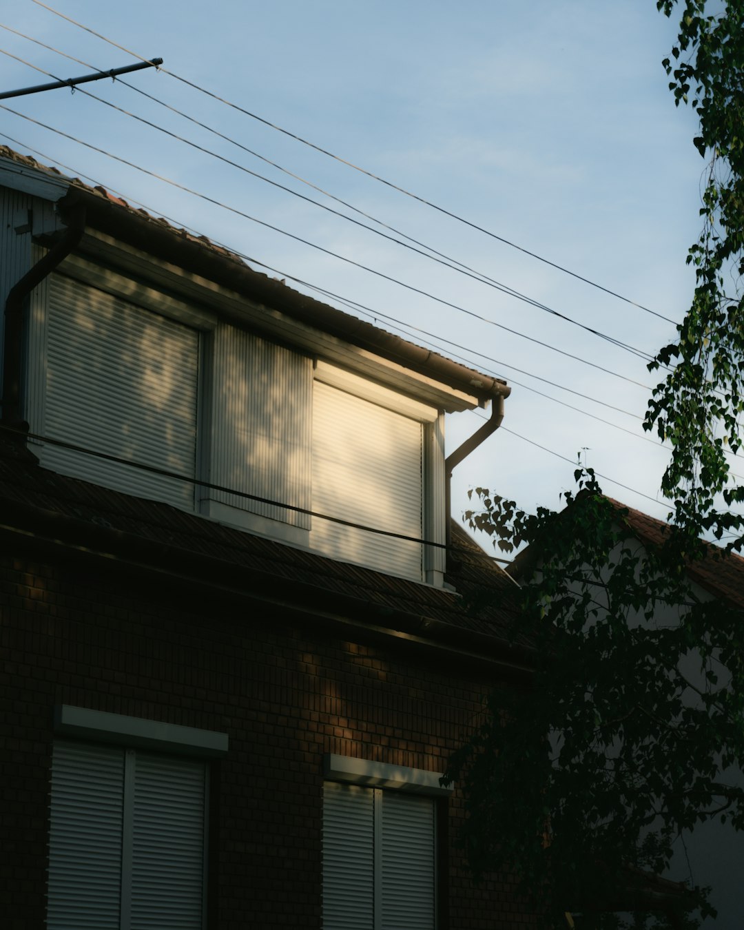 Transform Your Balcony into a Radiant Oasis: The Complete Guide to ...